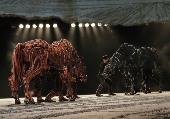 war horse