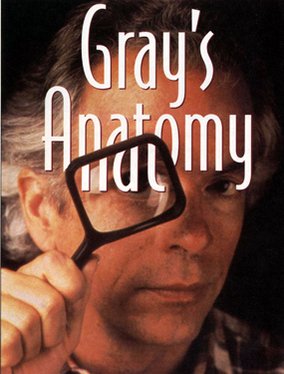 Gray's Anatomy - Who's Who : Shows | Lincoln Center Theater